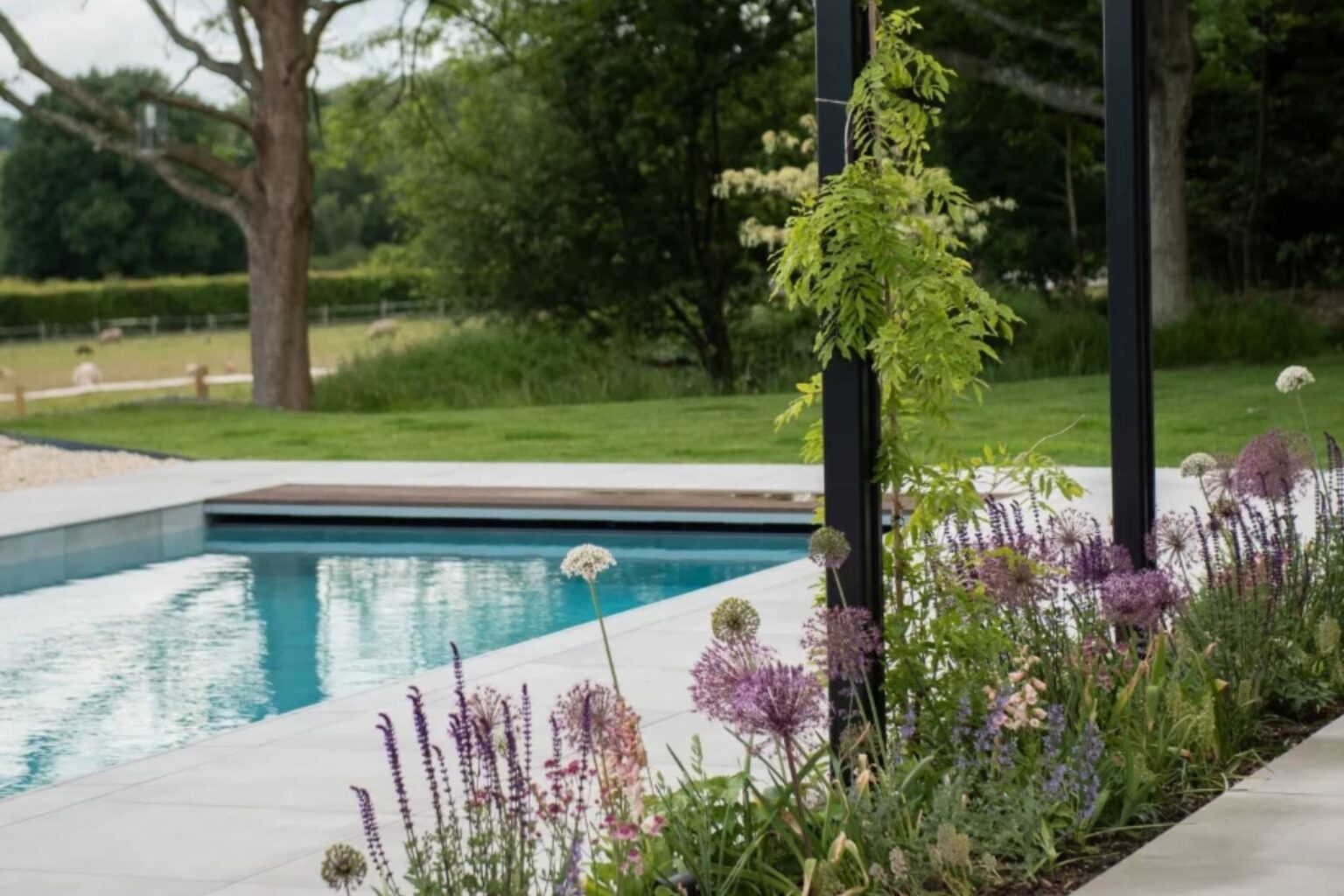 Swimming Pool Design: Different Types Of Pool | Hydrocare Leisure Ltd